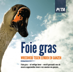 Flyers - Actiecentrum - PETA Nederland