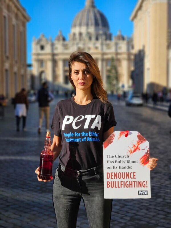 PETA dringt er bij de nieuwe paus Leo XIV op aan om paus Franciscus te ...